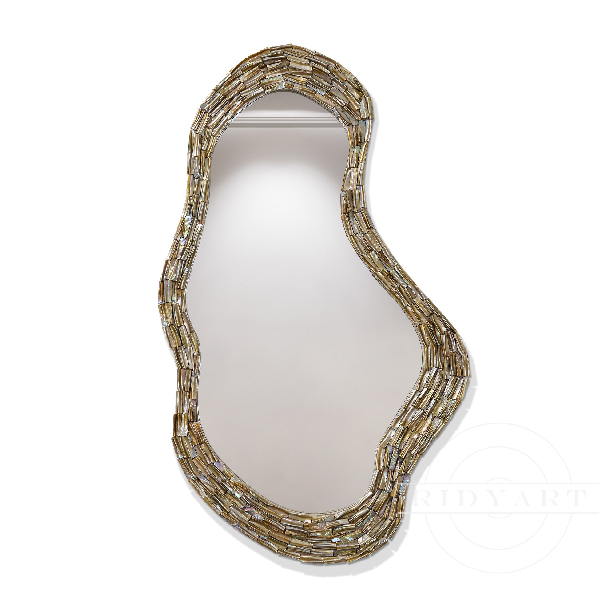 Organic Shell Irregular Mirror – Abstract Asymmetrical Wiggly Wall Art